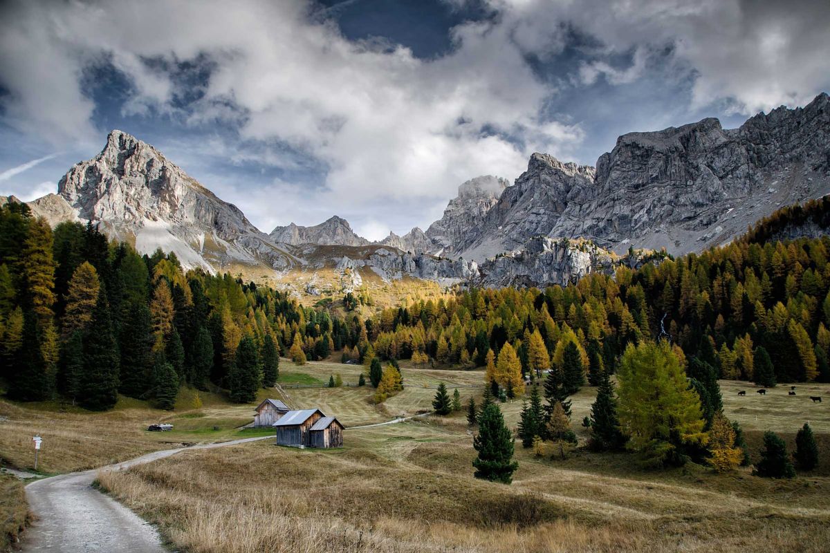 Val di Fassa, Val di Fiemme, Val di Non, Valli Giudicarie